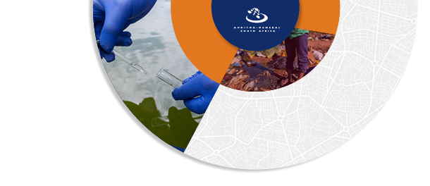 Consolidated report on local government audit outcomes :: AGSA